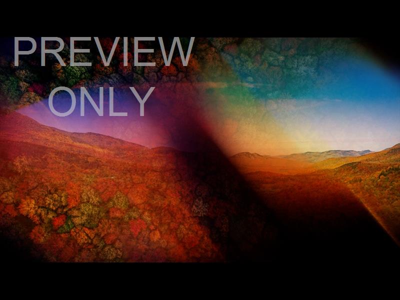 Subtle Fall Service Pack | Centerline New Media | Playback Media Store