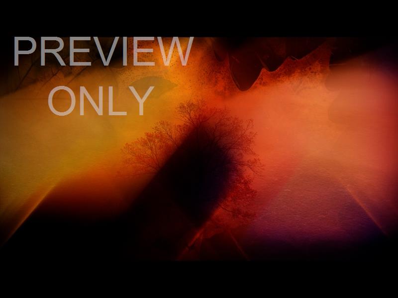 Subtle Fall Service Pack | Centerline New Media | Playback Media Store