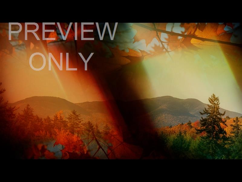 Subtle Fall 09 Still | Centerline New Media | Playback Media Store