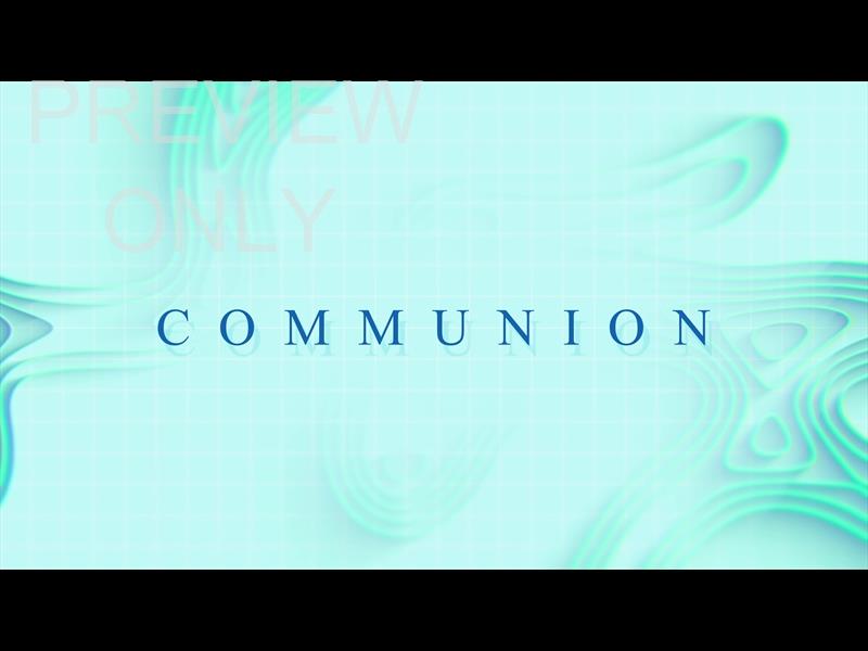 Search | Playback Media Store