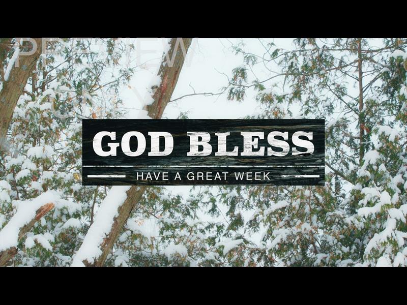 Winter Woods Service Pack | Centerline New Media | Playback Media Store
