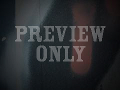 Igniterbacks 01 | Igniter Media | WorshipHouse Media