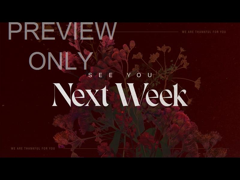 Autumn Nature Collection | Igniter Media | WorshipHouse Media