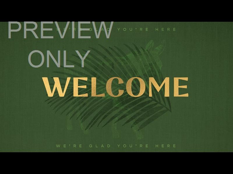 Sayings Of Easter Collection | Igniter Media | WorshipHouse Media