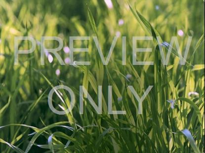 Spring Green Field | Igniter Media | WorshipHouse Media