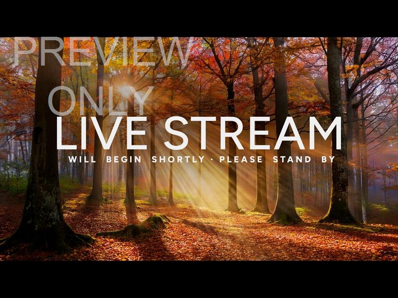Autumn Light Live Stream Still | Life Scribe Media | WorshipHouse Media