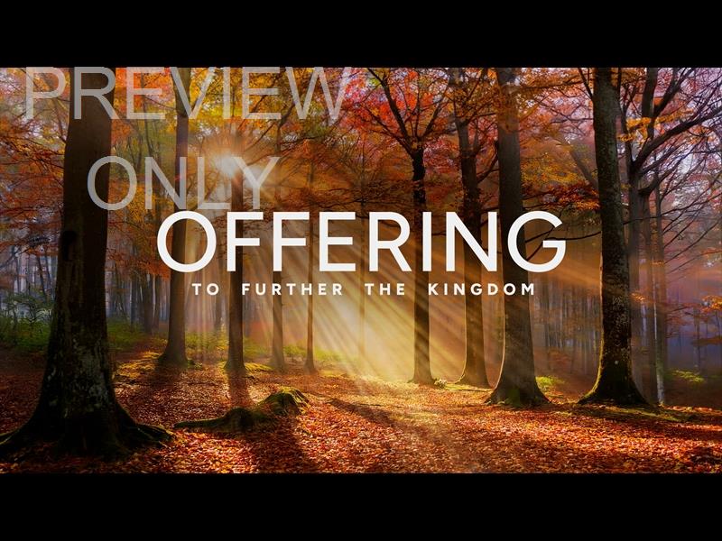 Autumn Light Offering Still | Life Scribe Media | WorshipHouse Media