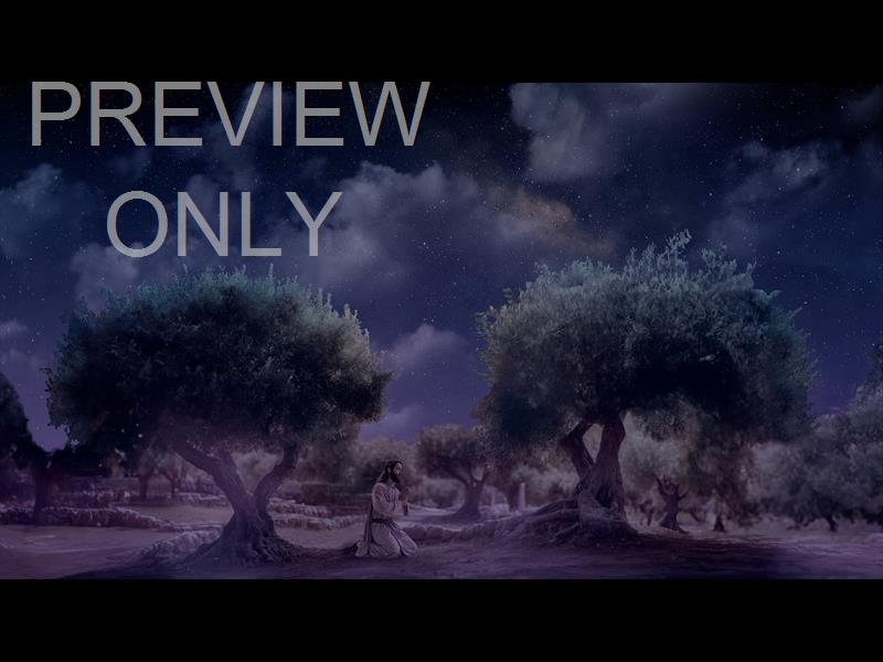 Easter Story Garden Of Gethsemane Prayer Still | Life Scribe Media ...