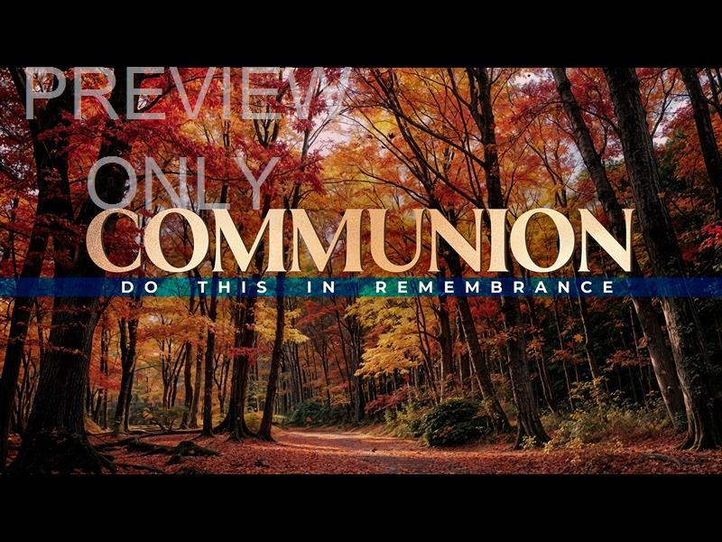 Forest Fall Collection | Life Scribe Media | WorshipHouse Media