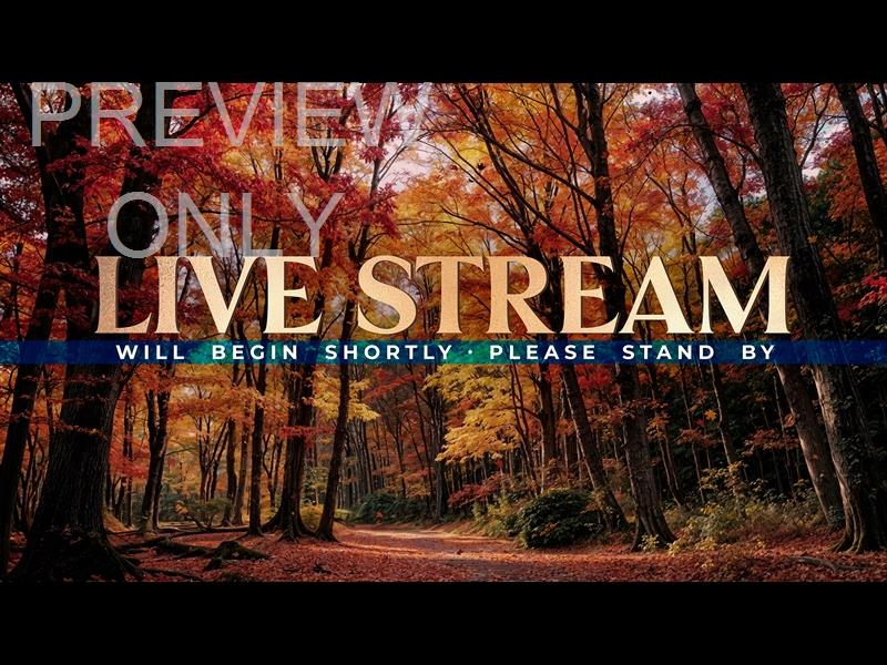 Forest Fall Live Stream Still | Life Scribe Media | WorshipHouse Media