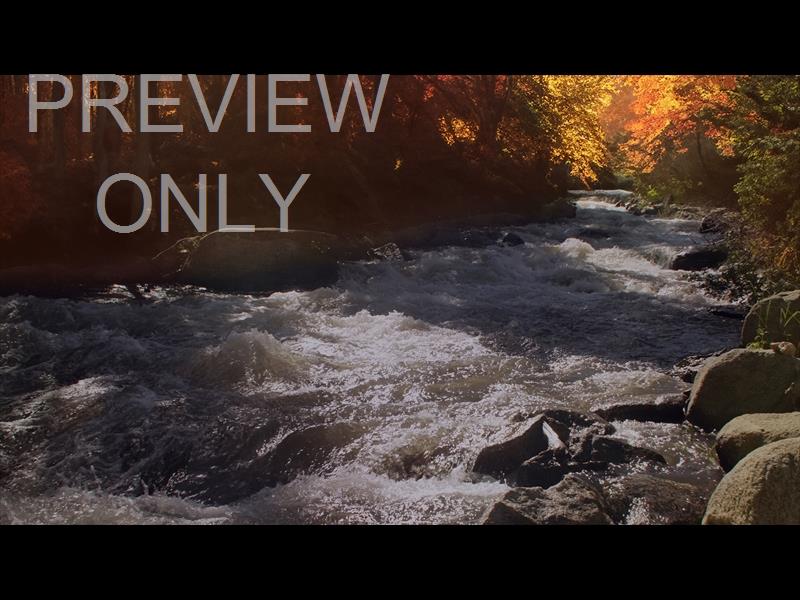 Northwest Fall 10 Still | Life Scribe Media | WorshipHouse Media