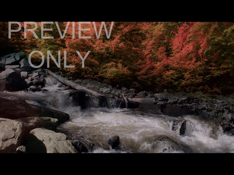 Northwest Fall 15 Still | Life Scribe Media | WorshipHouse Media
