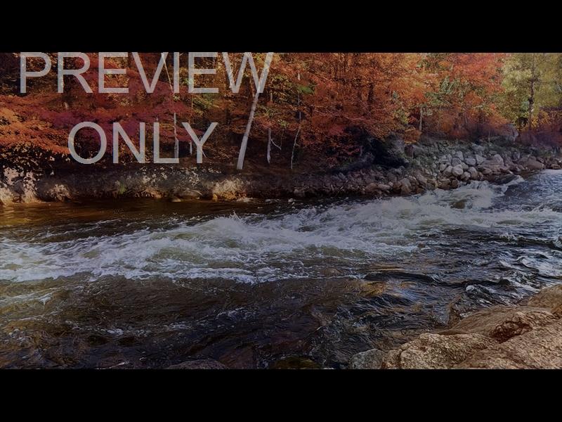 Northwest Fall 16 Still | Life Scribe Media | WorshipHouse Media