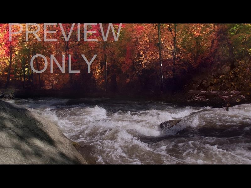 Northwest Fall 6 Still | Life Scribe Media | WorshipHouse Media