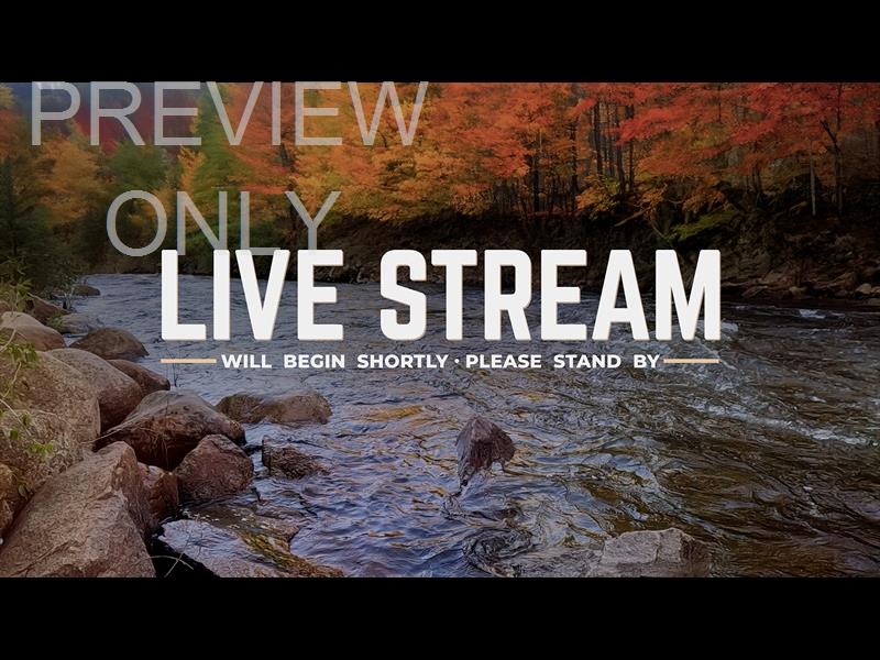 Northwest Fall Live Stream Still | Life Scribe Media | WorshipHouse Media