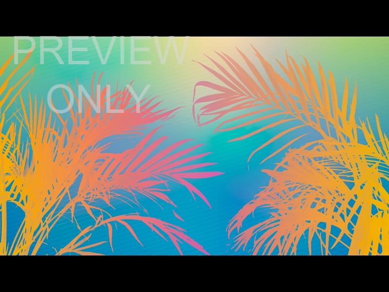 Sun Palms Collection | Life Scribe Media | WorshipHouse Media