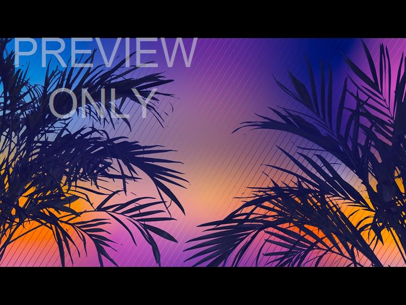 Sun Palms Collection | Life Scribe Media | WorshipHouse Media