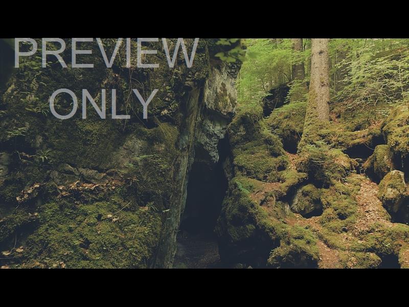 Deep Forest Collection | Motion Worship | WorshipHouse Media