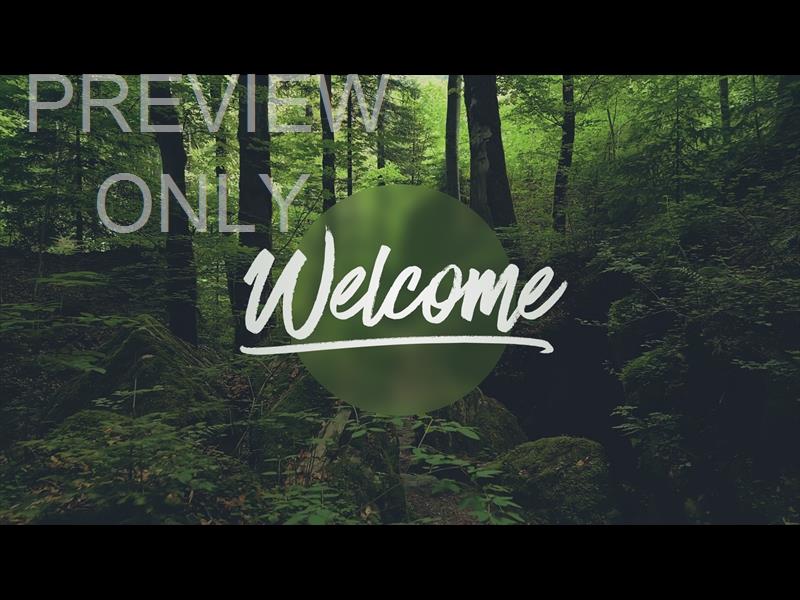 Deep Forest Welcome Still | Motion Worship | WorshipHouse Media