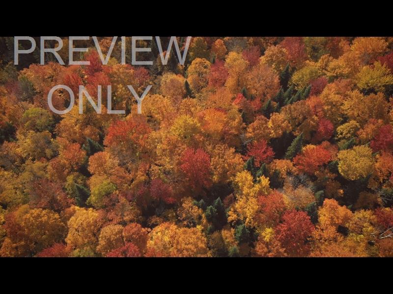 Epic Autumn Aerial Collection | Motion Worship | WorshipHouse Media