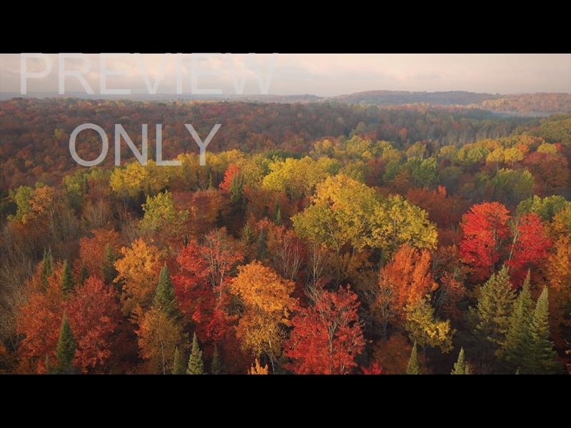Epic Autumn Aerial Collection | Motion Worship | WorshipHouse Media