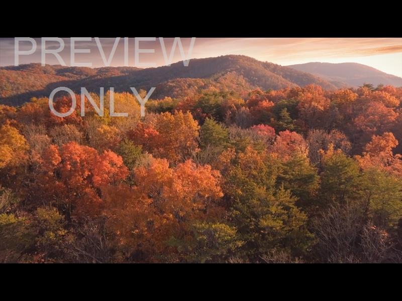 Epic Autumn Aerial Vivid Trees | Motion Worship | WorshipHouse Media
