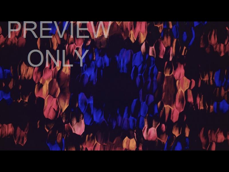 Lucent Collection | Motion Worship | WorshipHouse Media