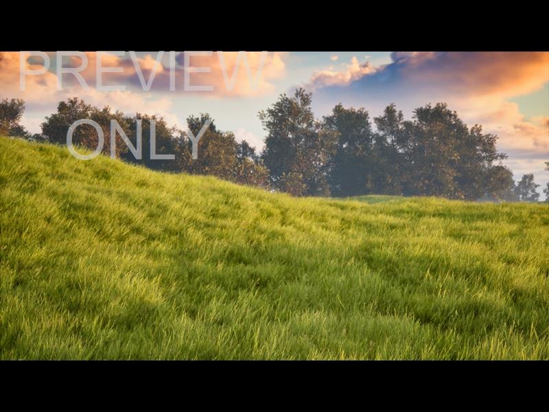 Prairie Meadow Still | Motion Worship | WorshipHouse Media