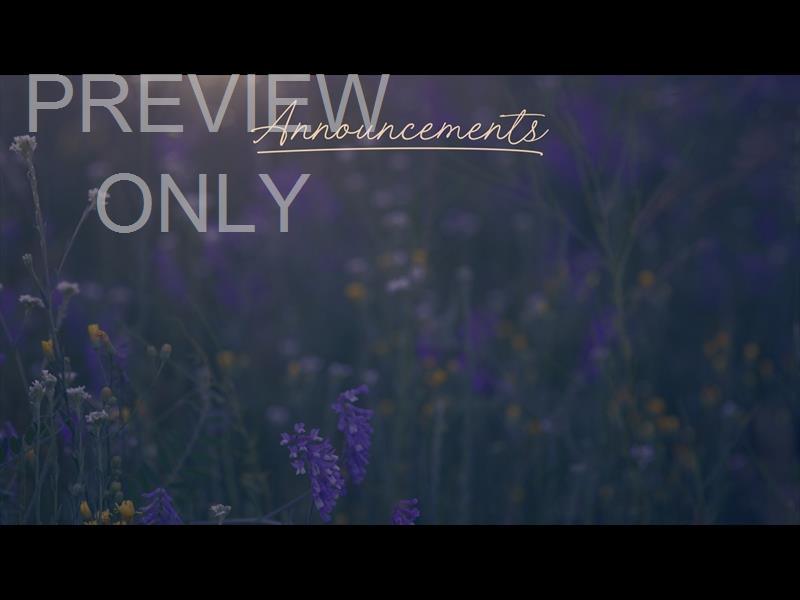 Summer Wildflower Announcements | Motion Worship | WorshipHouse Media