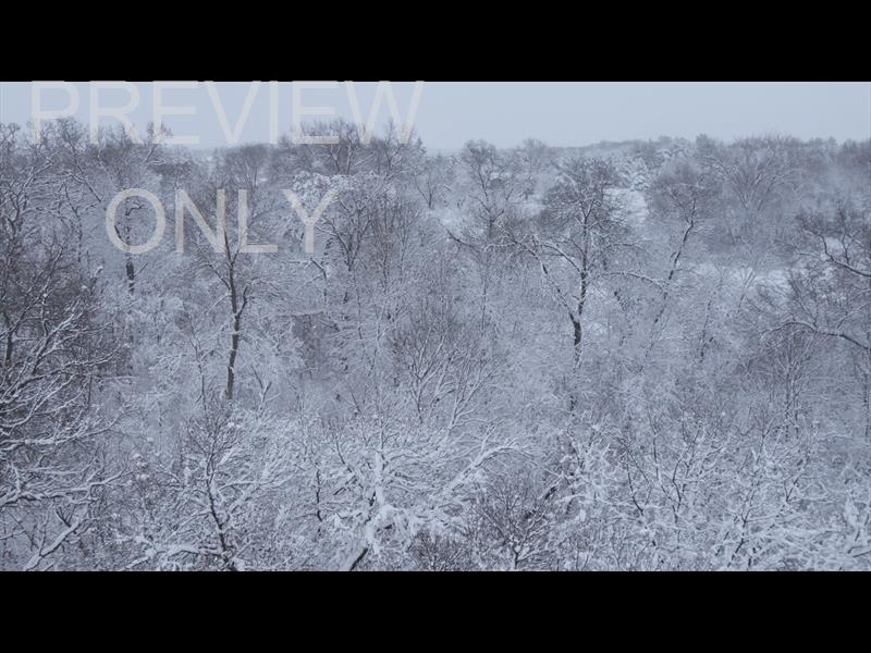 Search | WorshipHouse Media