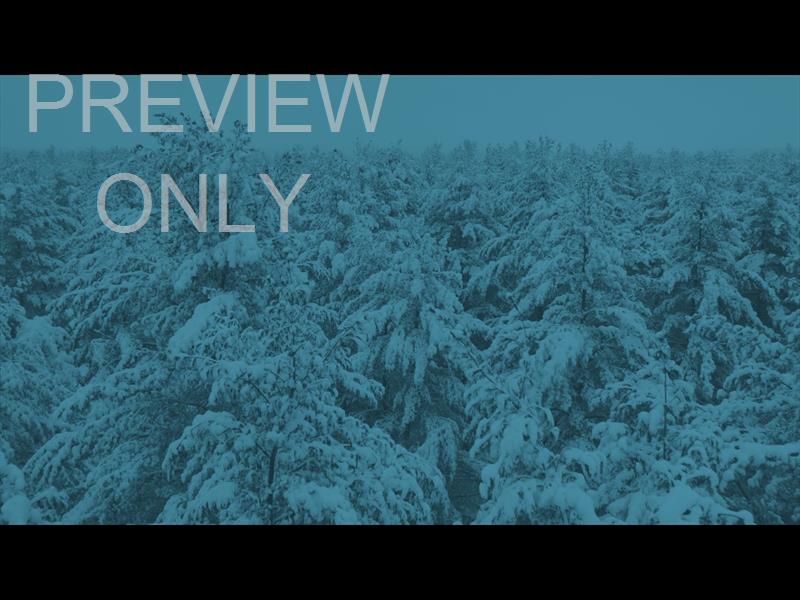 Winter Woods Ice Blue Still | Motion Worship | WorshipHouse Media