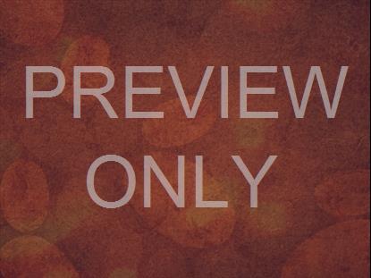 Autumn Spice 11 Still | Playback Media | Playback Media Store