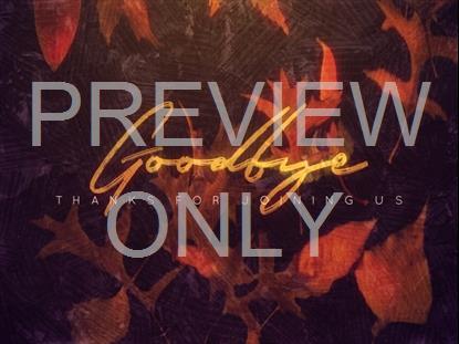 Fall Into Grace Collection | Playback Media | Playback Media Store