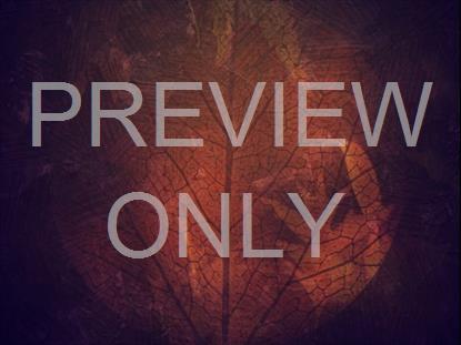 Fall Into Grace Still 2 | Playback Media | WorshipHouse Media