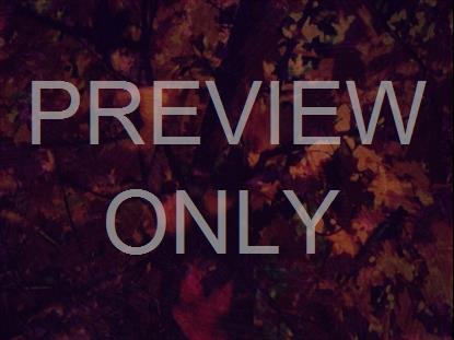 Fall Into Grace Still 7 | Playback Media | WorshipHouse Media