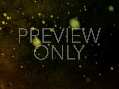 Flying Particles | Playback Media | Playback Media Store