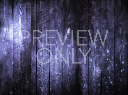 Midnight Pop Collection | Playback Media | Playback Media Store