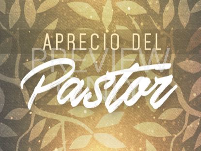 Seasonal Display Collection - Spanish | Playback Media | Playback Media ...