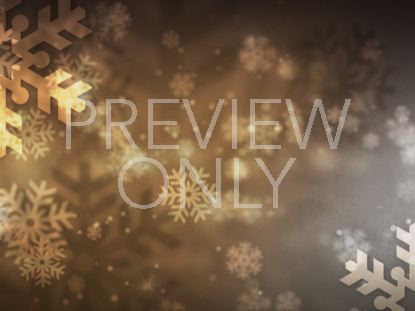 Snowflake 3 Still | Playback Media | Playback Media Store