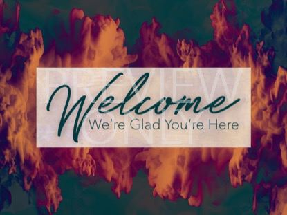 Search | Playback Media Store