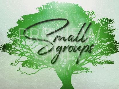Tree Of Life Groups Still | Playback Media | Playback Media Store