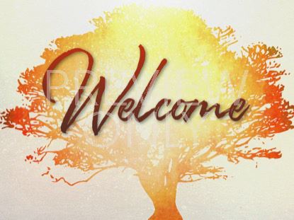Tree Of Life Welcome Still | Playback Media | Playback Media Store
