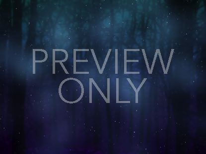 Winter Forest Mega Bundle | Social Light Multimedia | WorshipHouse Media