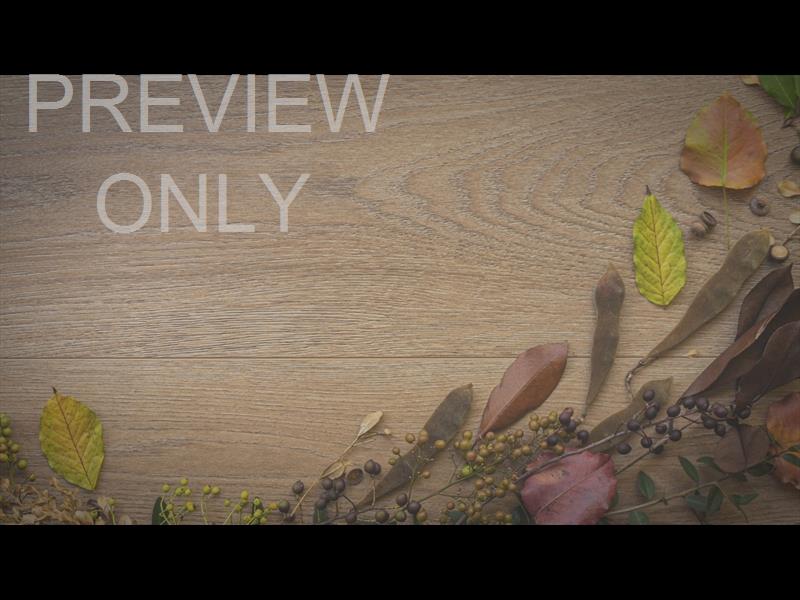 Abundance Still 04 | Timber & Pearl | WorshipHouse Media