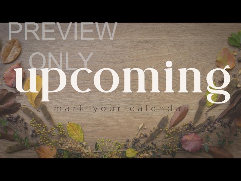 Abundance Collection | Timber & Pearl | WorshipHouse Media