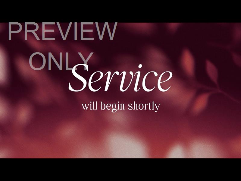 Autumn Again Collection | Timber & Pearl | WorshipHouse Media