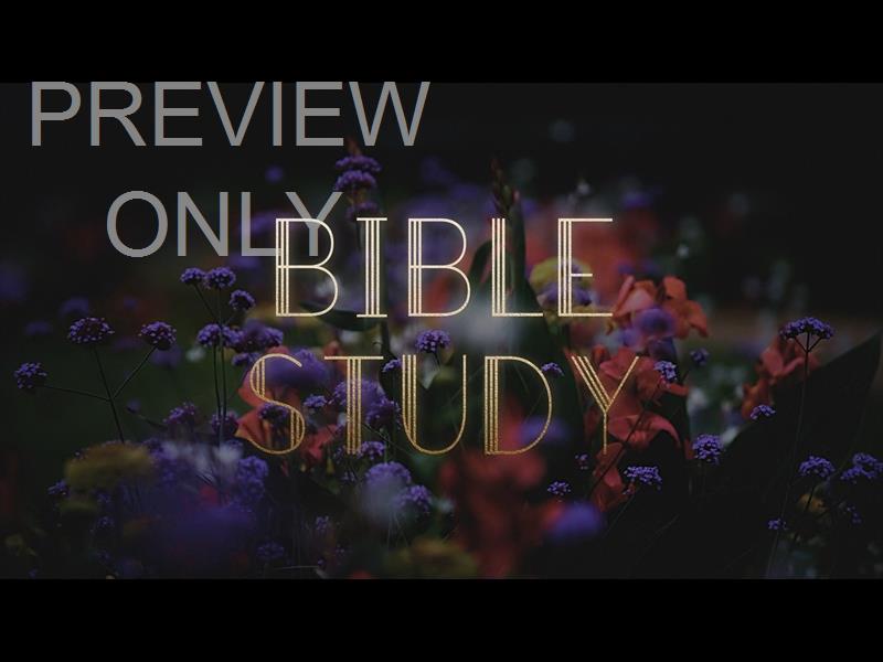 Ebony Floral: Still Bible Study | Timber & Pearl | WorshipHouse Media