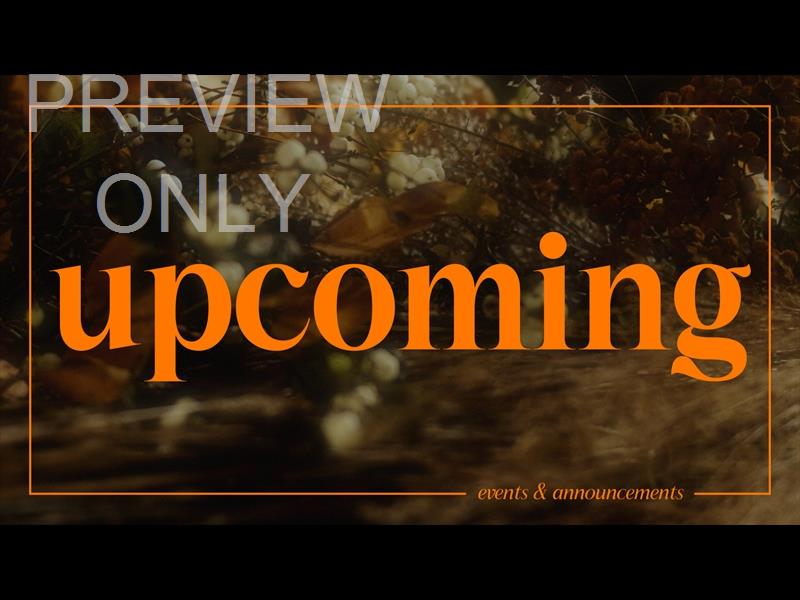 Flora Fall Upcoming Still | Timber & Pearl | WorshipHouse Media