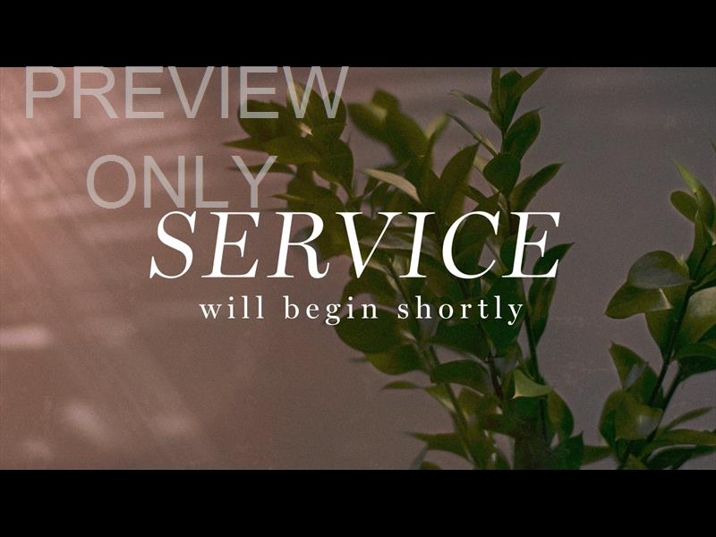 Flourish Collection | Timber & Pearl | WorshipHouse Media