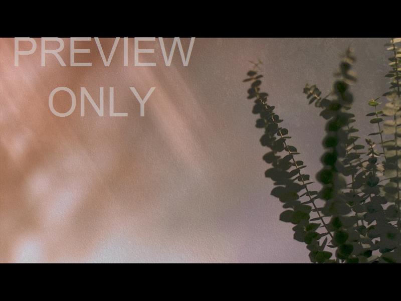 Flourish Collection | Timber & Pearl | WorshipHouse Media